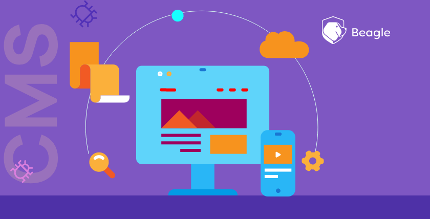 CMS Vulnerabilities: Why are CMS platforms common hacking targets?